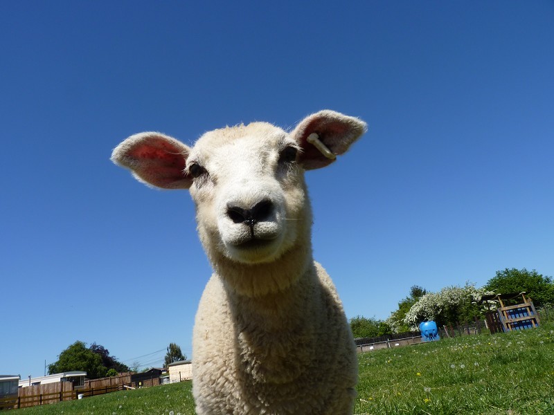 Church Farm, Stevenage, Hertfordshire.