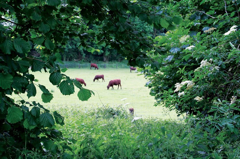 Church Farm, Stevenage, Hertfordshire.