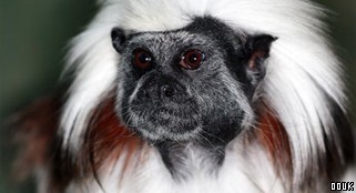 Fife. Great days out for all the family in Fife and surrounding areas.