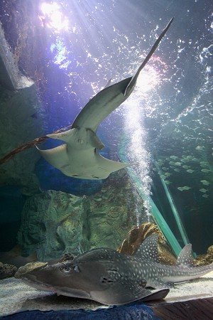 Top 10 Things to do on Days Out with the Family in Blackpool - Days Out ...